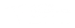 CIU Athletics | California Intercontinental University